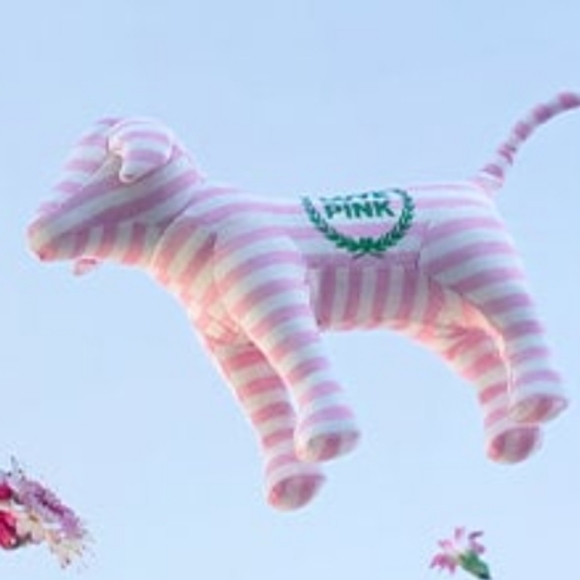 PINK Victoria's Secret | Other | Collectable Pink Pup | Poshmark